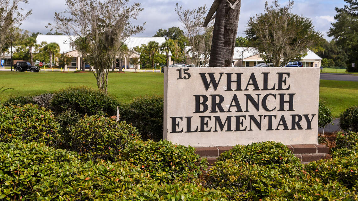 Mold found in Whale Branch Elementary, Middle School walls | Hilton ...