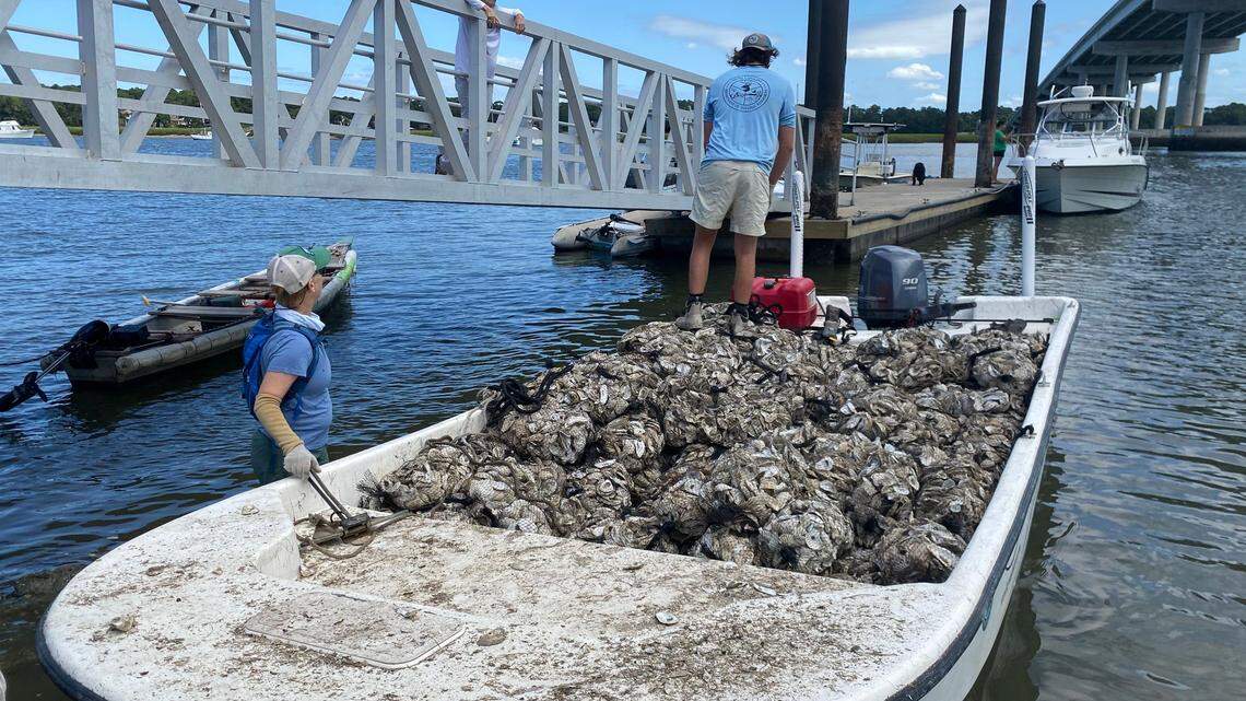 Hilton Head SC oyster shells can be recycled, new ecosystem | Hilton ...
