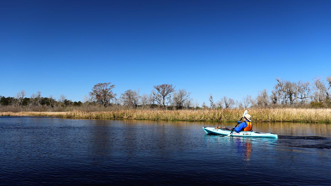 Brighter days ahead, paddling the beautiful lower Edisto River | Hilton ...