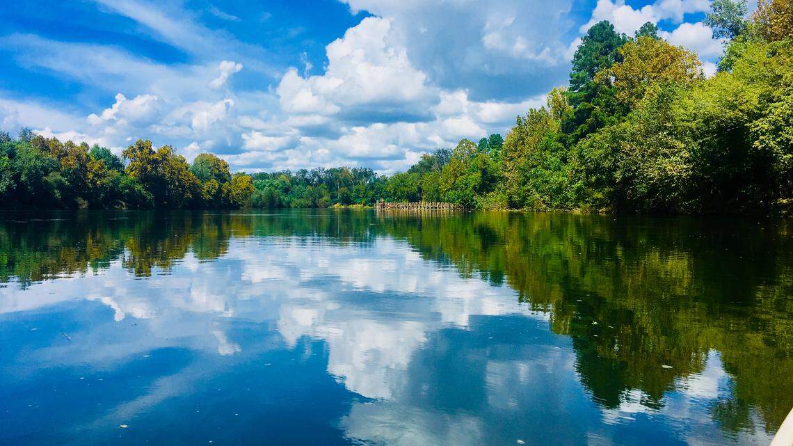 Visit the South Carolina Audubon’s Silver Bluff Sanctuary | Hilton Head ...