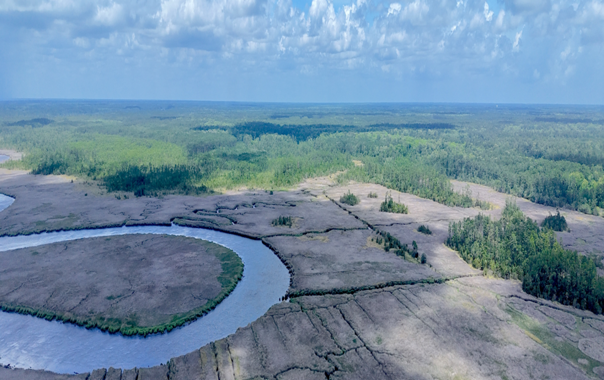 Beaufort Co. might spend $42M on unspoiled Bluffton forest | Hilton ...