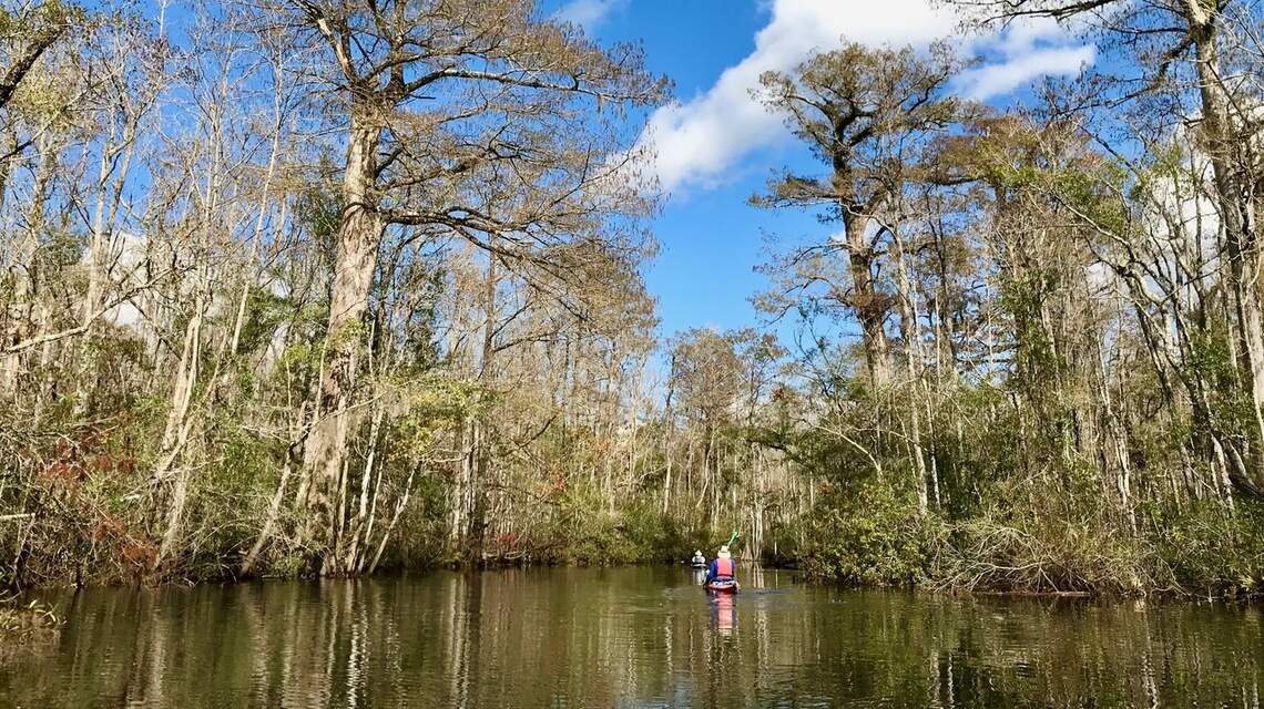 Floating on Wambaw Creek near McClellanville, S.C. | The State