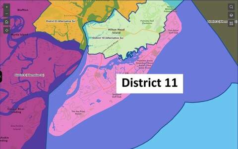 Tom Reitz vs Elizabeth Galloway: Who won? | Hilton Head Island Packet
